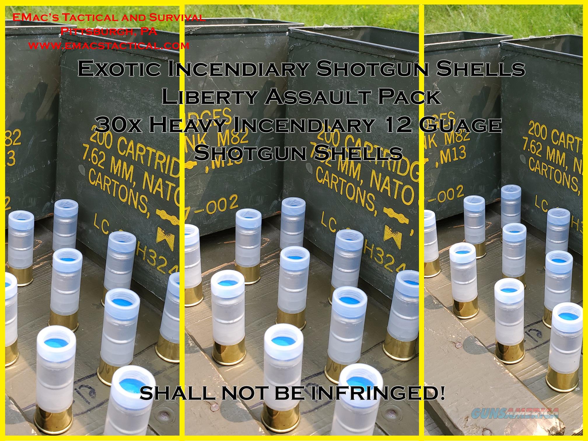 Heavy Incendiary Liberty Assault Pa... for sale at Gunsamerica.com ...