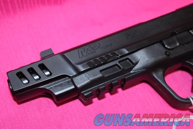 S&W MP10 PC for sale at Gunsamerica.com: 925096535